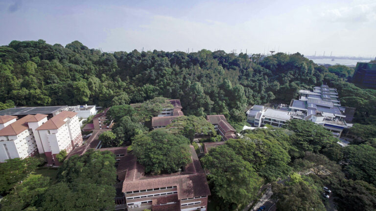 Leadership – NUS Campus Sustainability
